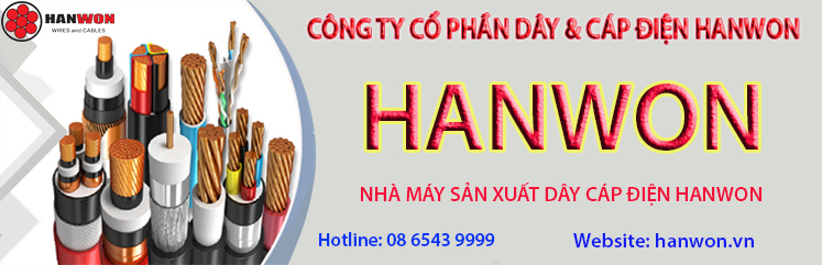Trang chủ - Website